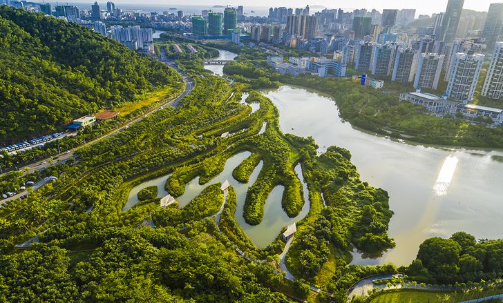 Chinese landscape architect named 2020 Sir Geoffrey Jellicoe Award ...