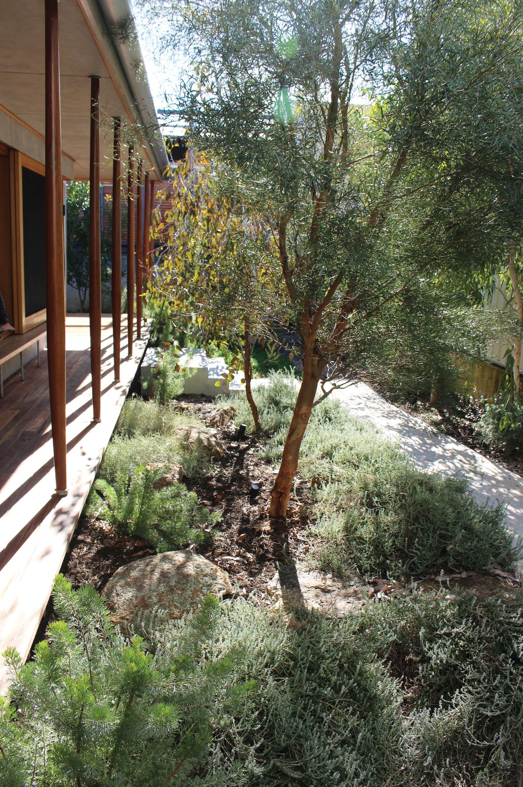 Social space: Bulwer Avenue Garden | Landscape Australia