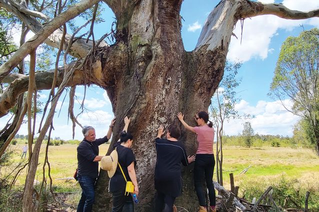 Understanding cultural load in design practice | Landscape Australia