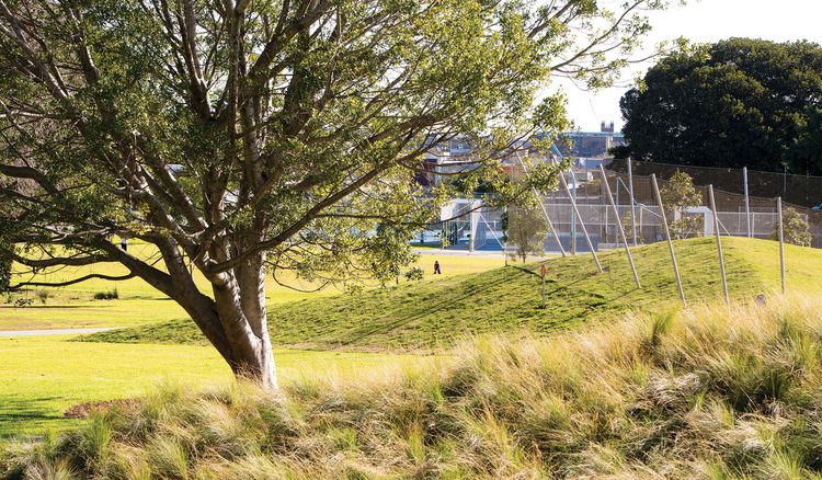 Prince Alfred Park | ArchitectureAu