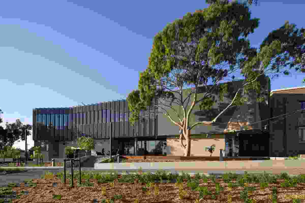 Ivanhoe Library and Cultural Hub by Croxon Ramsay | ArchitectureAu