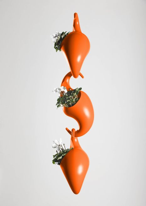 Adam Cornish wins Corporate Culture Design Pitch | ArchitectureAu