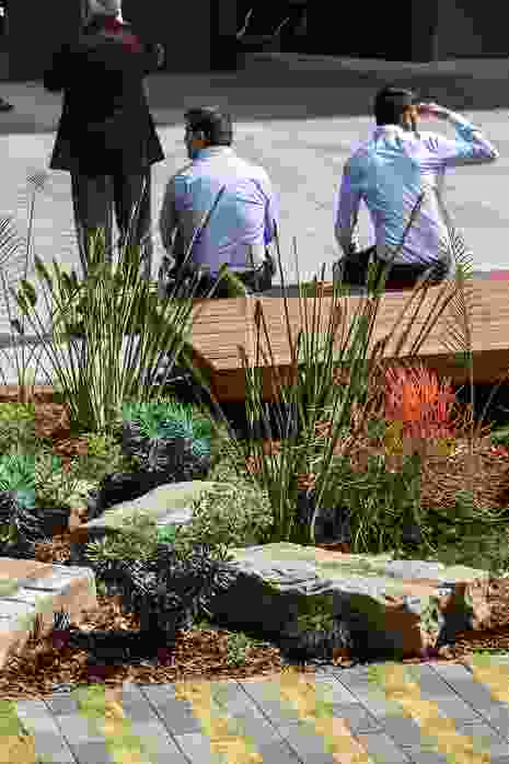 A civic cultivation: Darling Square | Landscape Australia