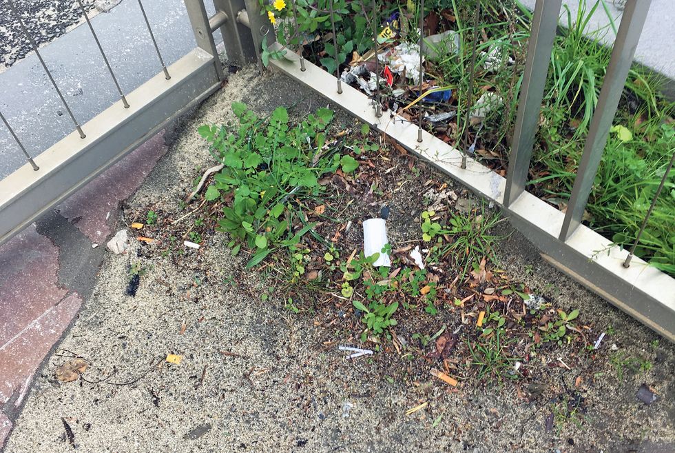 Designing with urban soils | Landscape Australia