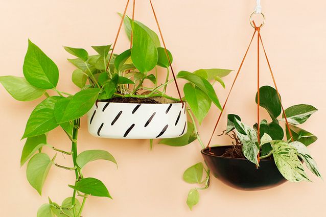 Editor's choice: Top 5 Planters | ArchitectureAu