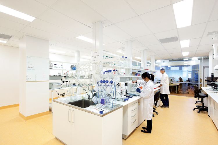 Brain and Mind Research Institute | ArchitectureAu