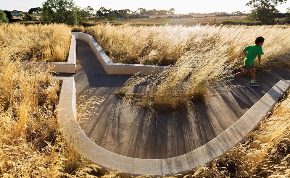 Grassland: A provocation | Landscape Australia