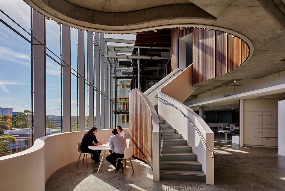 Workplace drama: Novartis Head Office | ArchitectureAu