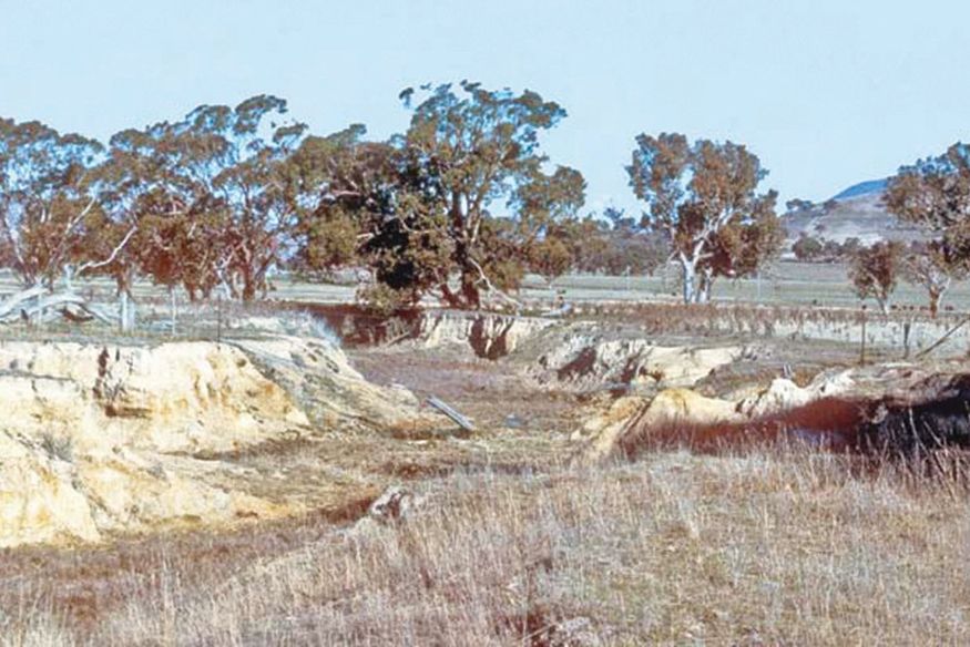 Bruce and Stuart Mackenzie | ArchitectureAu