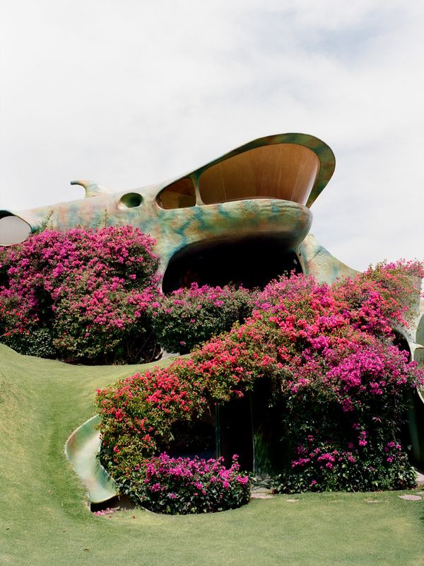 The House of Green: Natural Homes and Biophilic Architecture ...