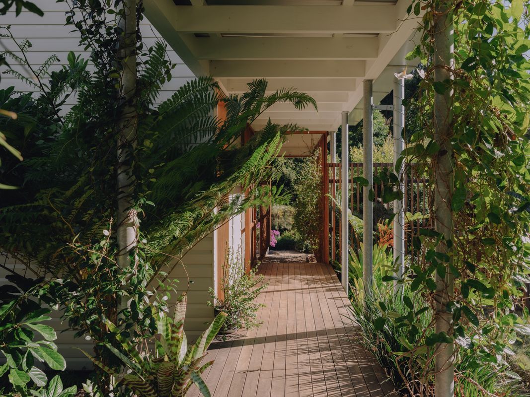 Cooroy House by Henry Bennett and Dan Wilson | ArchitectureAu