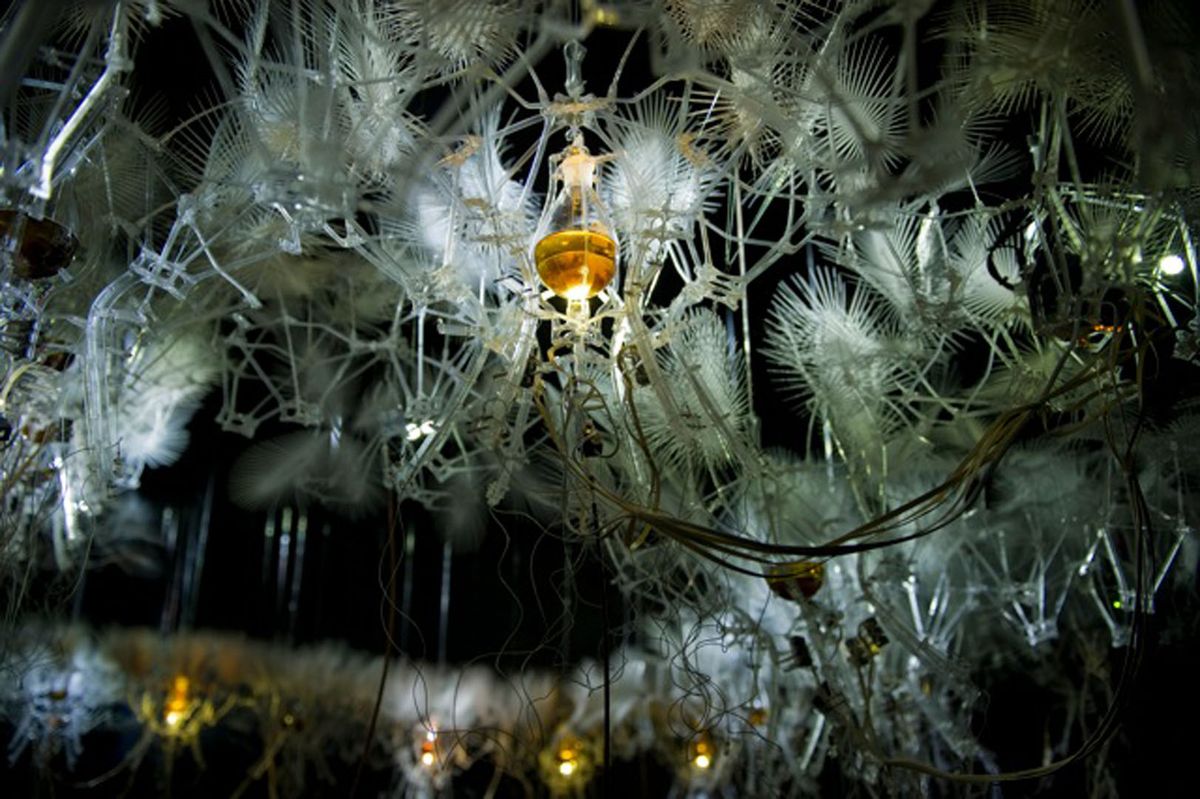 Philip Beesley: Being responsive | ArchitectureAu