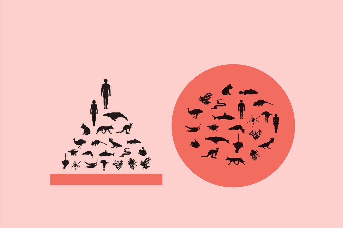 Connecting with Country: A pathway to listening | ArchitectureAu