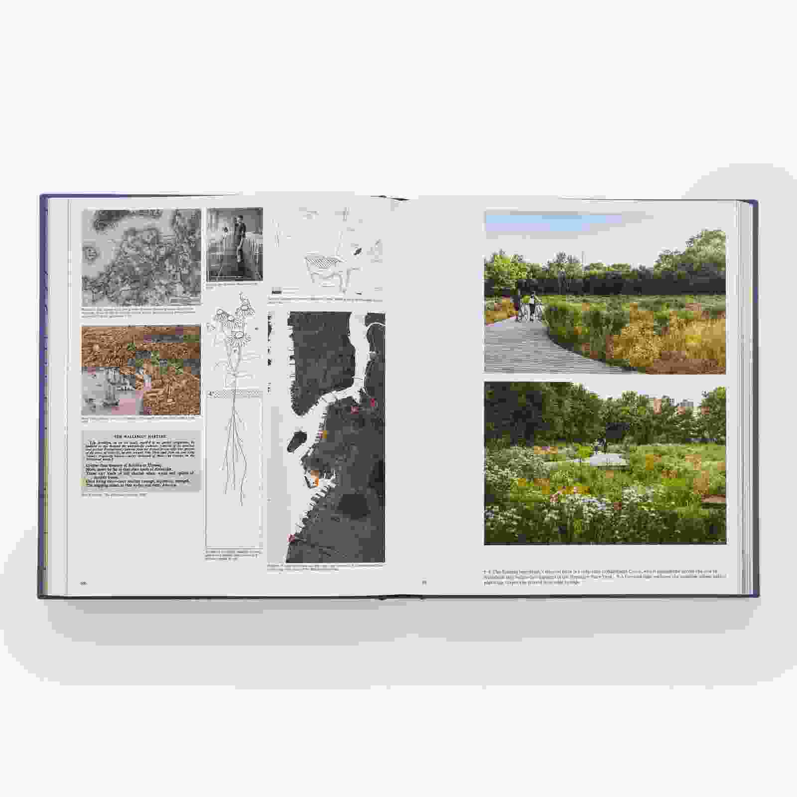 The Land Is Full: Nelson Byrd Woltz Landscape Architects | Landscape ...