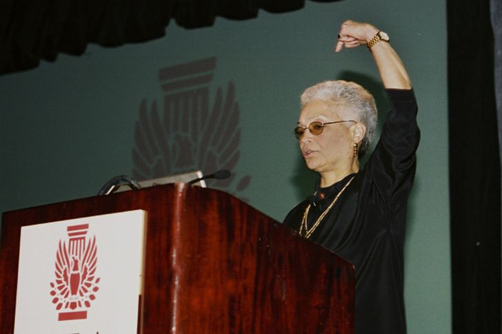 Rebellion, revolution and disruption: Sharon Egretta Sutton ...