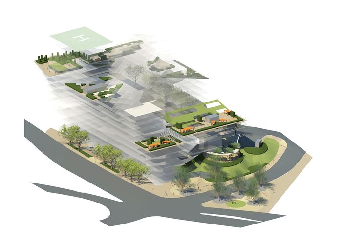 Lady Cilento Children’s Hospital landscapes | Landscape Australia