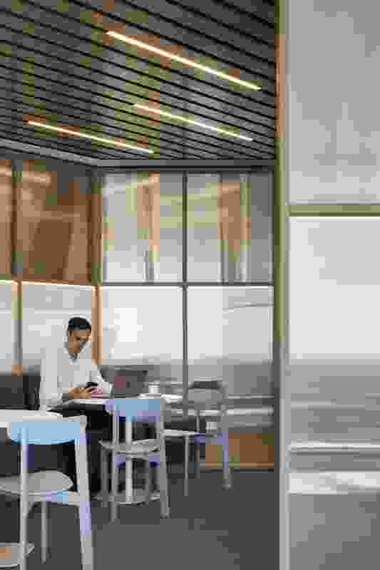 Deloitte Adelaide by Woods Bagot | ArchitectureAu