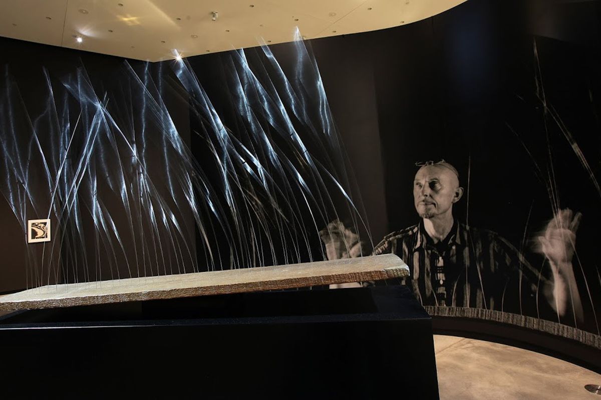 The sculptural Len Lye Centre by Patterson Associates has opened its ...