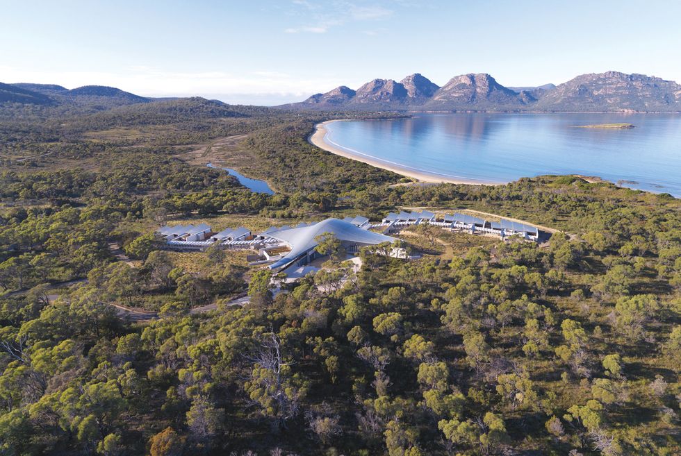Designing for succession | Landscape Australia
