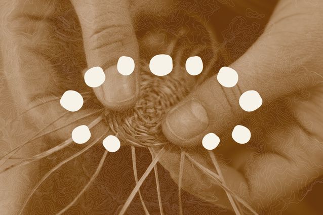 Are you really Designing with Country? | ArchitectureAu