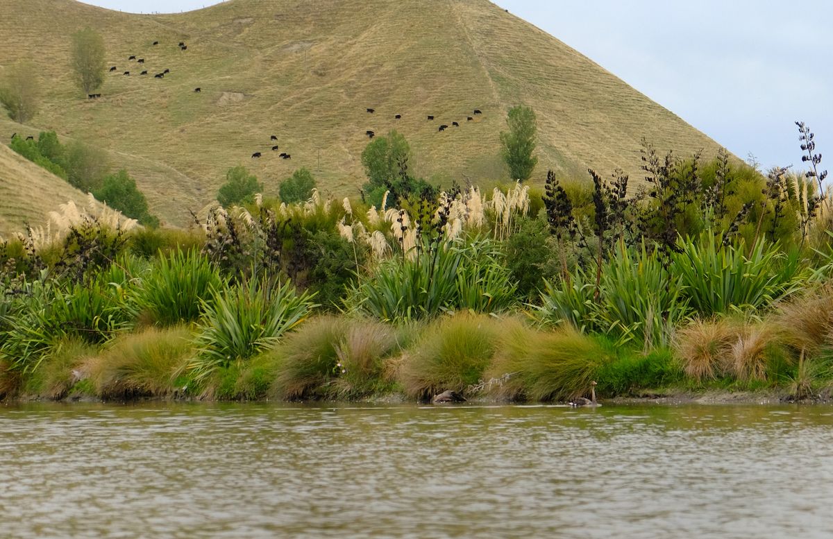 Thomas Woltz to speak in Melbourne as part of the 2019 Victorian Design ...