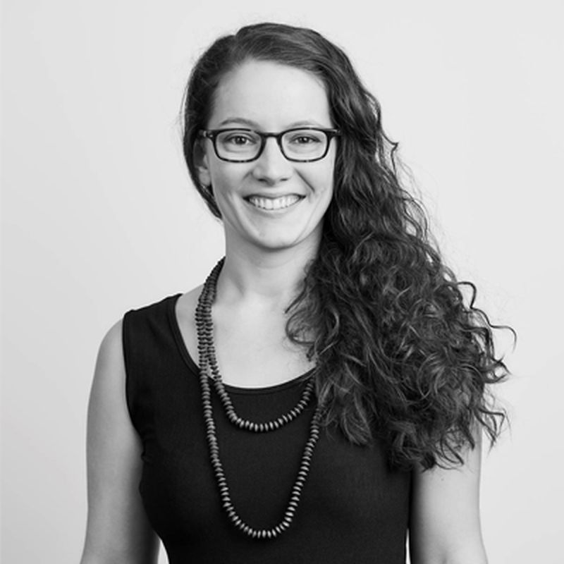 Institute's 2016–2017 National Committee for Gender Equity revealed ...