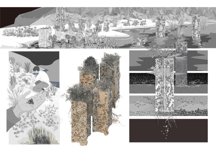 2025 Landscape Architecture Australia Student Prize (Winner ...