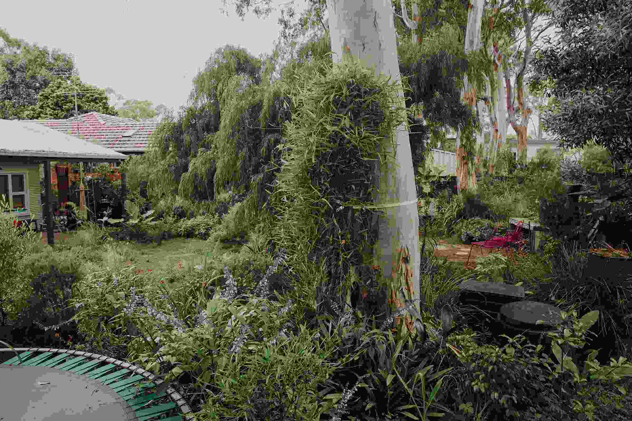 Home ground: Kathryn Morgan | Landscape Australia