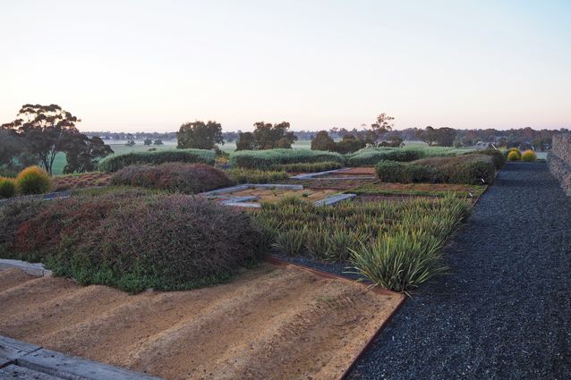 Slow growth: Australian Botanic Gardens Shepparton | Landscape Australia