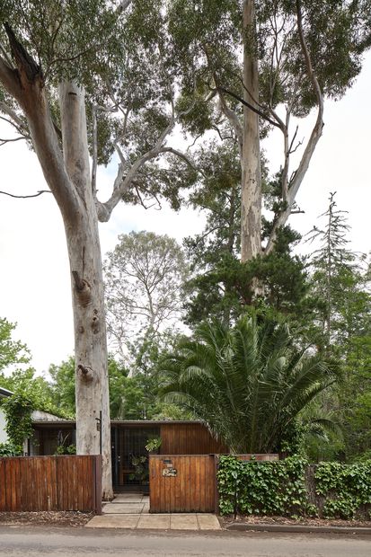 Revisited: Azalea House by John Chappel | ArchitectureAu